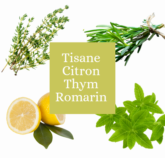 Tisane Thym Romarin Citron Bio
